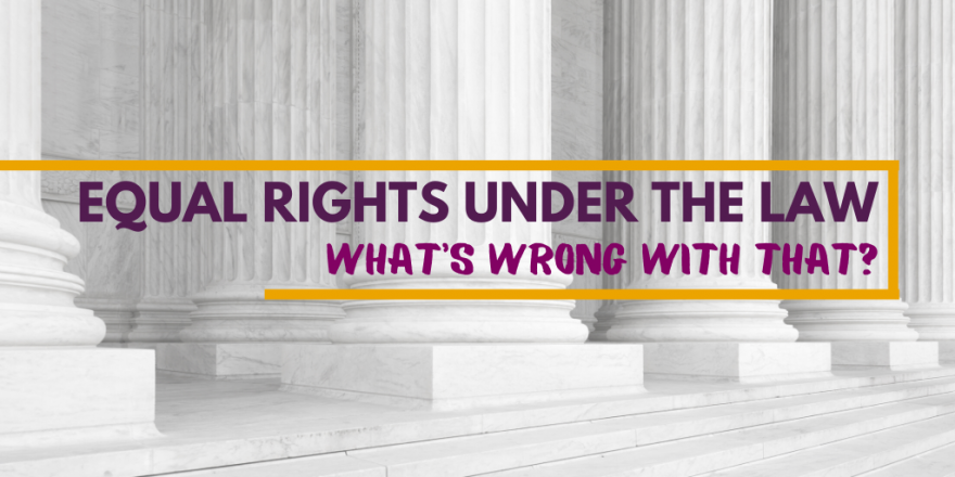 Equal Rights Under the Law, What’s Wrong with That? | League of Women ...